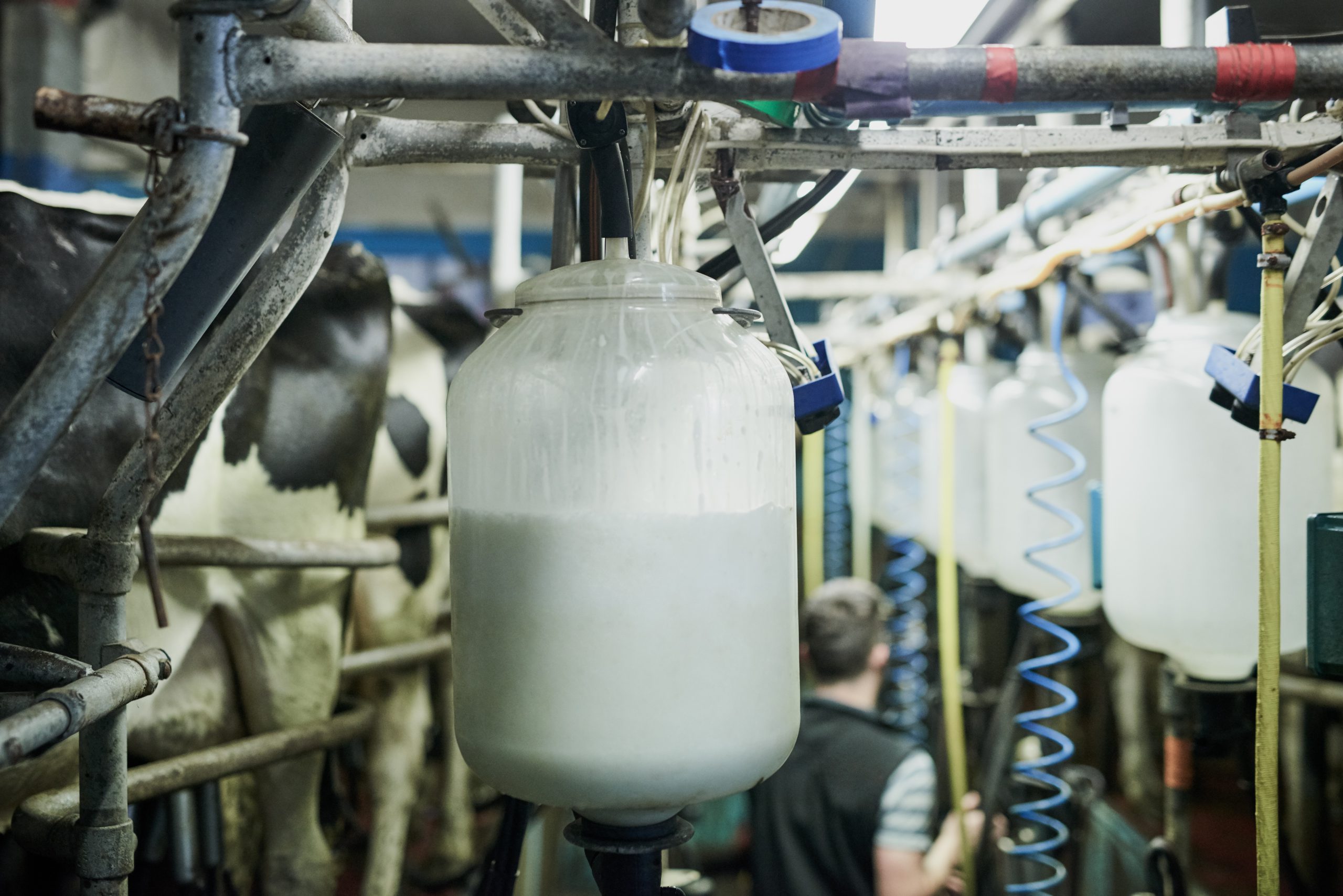 Achieving Regulatory Compliance in the Food Industry with Auburn ...